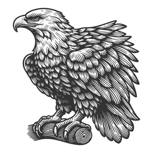 Realistic Eagle Vector Images (over 1,600)