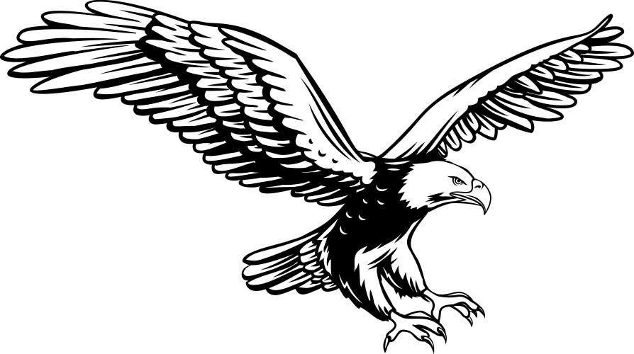 Eagle Vector Images (over 96,000)