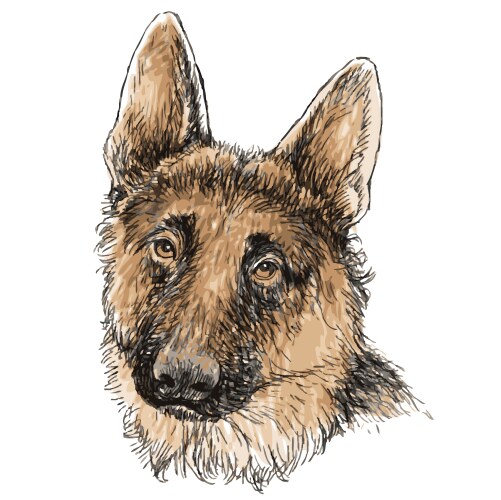 German Shepherd Vector Images (over 3,400)