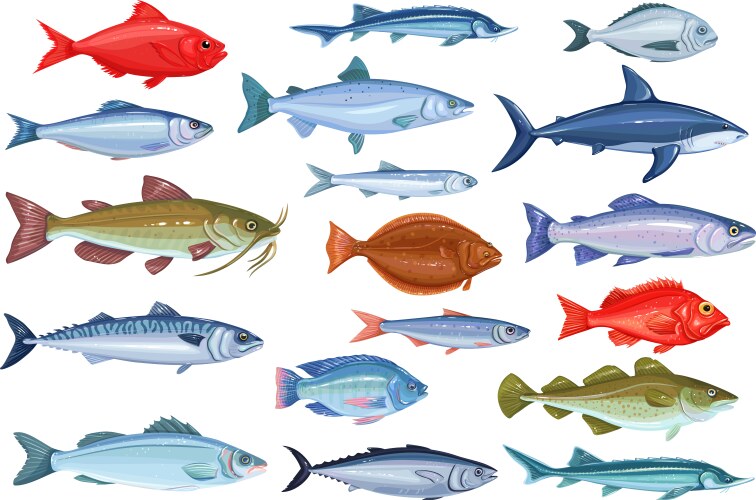 Fish Vector Images (over 520,000)
