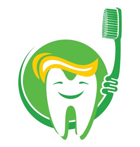 Detailed human tooth anatomy infographic chart Vector Image