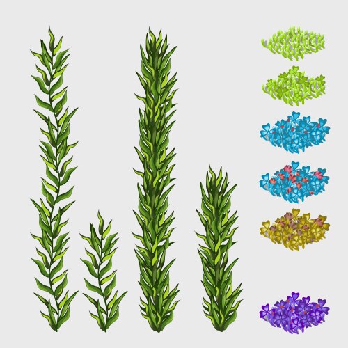 Sea Grass Vector Images (over 9,900)