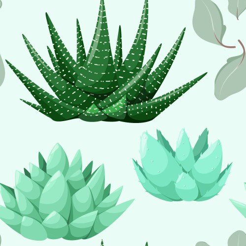 Succulents Vector Images (over 47,000)
