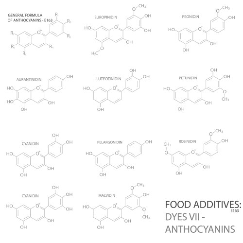 Ddt molecular skeletal chemical formula Royalty Free Vector