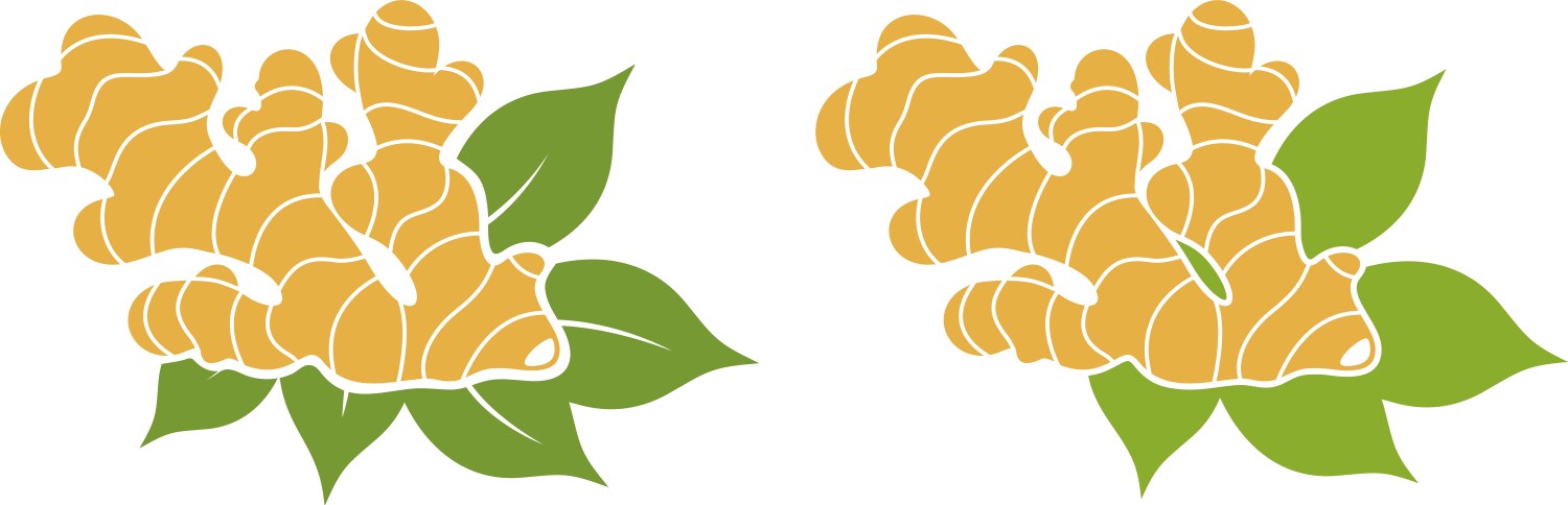 Ginger Royalty Free Vector Image - VectorStock