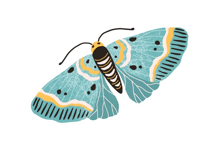 Moth Vector Images (over 22,000)