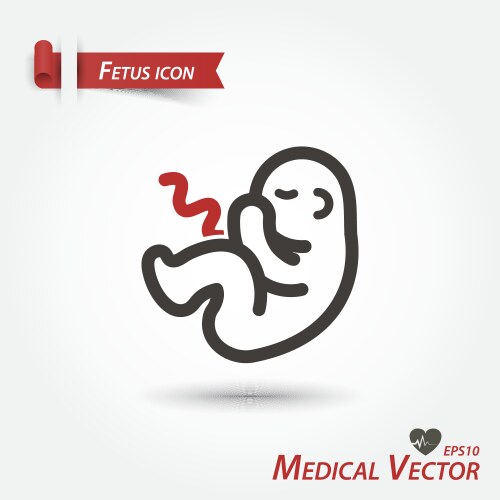 Fetus baby in womb icon cartoon Royalty Free Vector Image