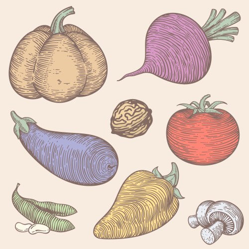 Vegetables Vector Images (over 580,000)