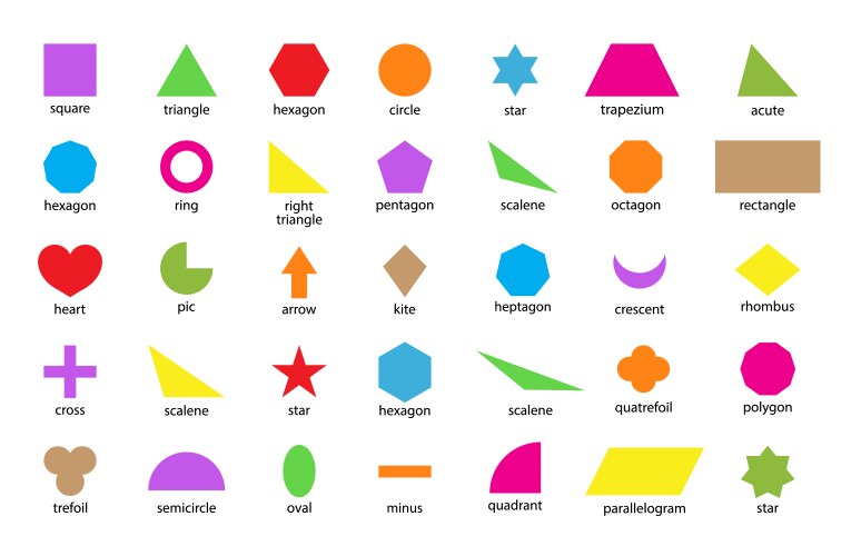 Basic 3d geometric shapes collection with names Vector Image