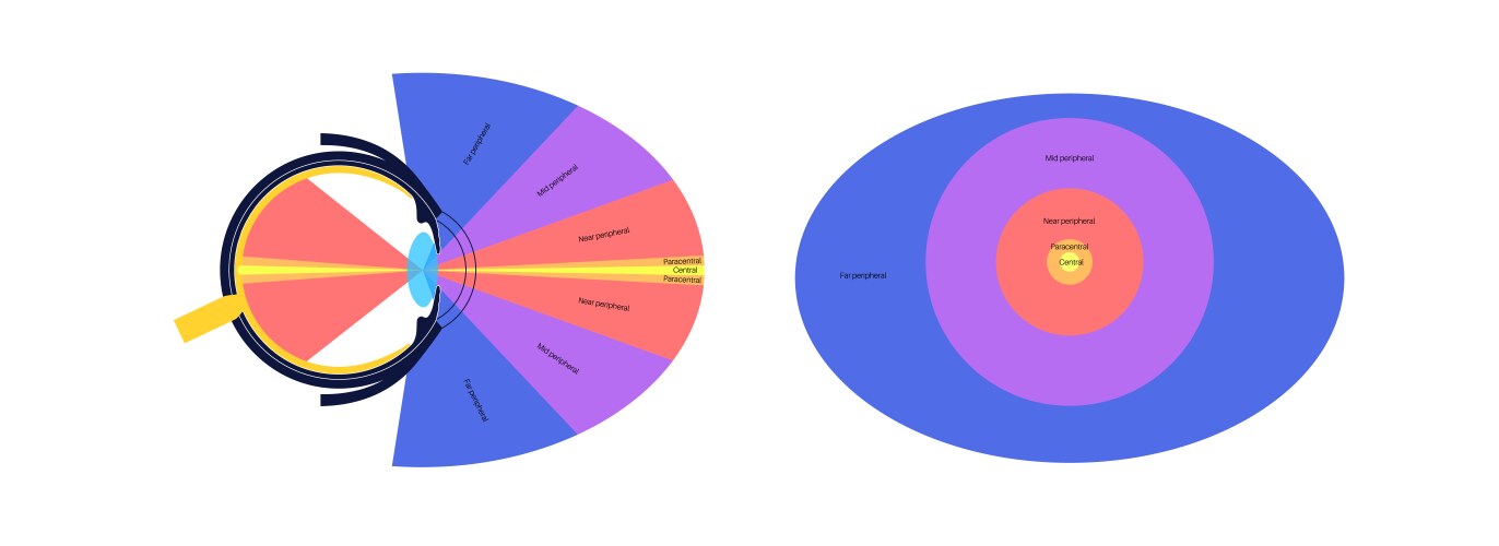 Peripheral vision poster Royalty Free Vector Image