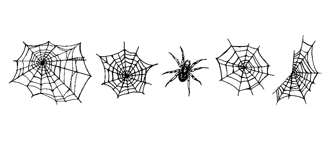 Spider Web Cartoon Vector Images (over 17,000)