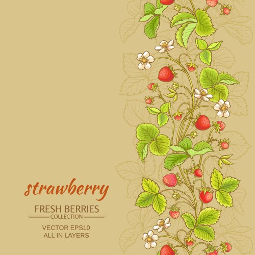 Strawberry Vector Images (over 120,000)