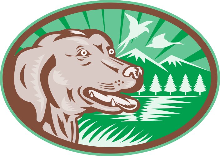 Labrador Vector Images (over 12,000)