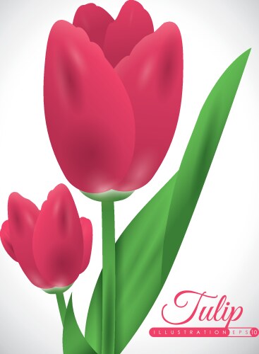 Kawaii wink flower tulip leaves cartoon Royalty Free Vector