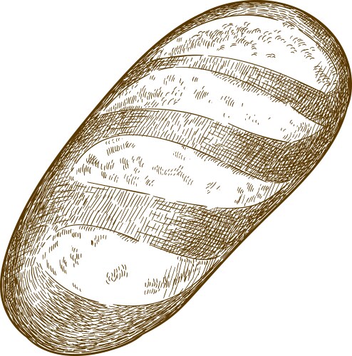 Bread Vector Images (over 240,000)