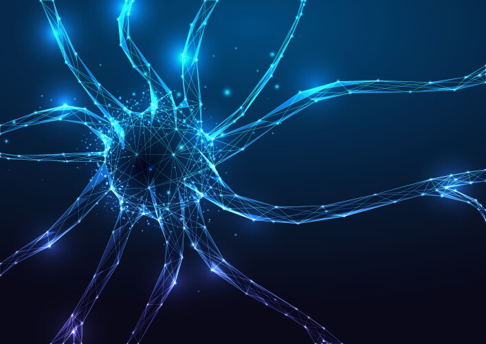 Neuron Vector Images (over 17,000)