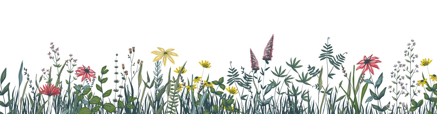 Summer Border Vector Images (over 100,000)