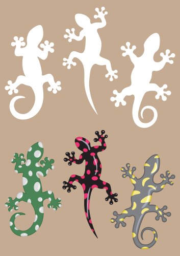 Gecko Vector Images (over 5,700)
