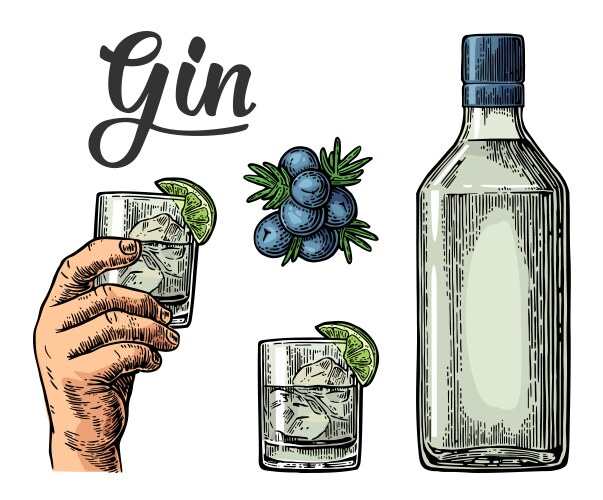 Gin Vector Images (over 10,000)