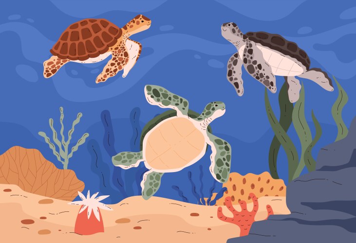 Ocean Habitat Vector Images (over 3,100)