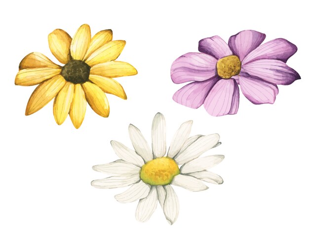 Watercolor wildflower collection botanical spring Vector Image