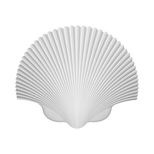 Beautiful shell isolated on white Royalty Free Vector Image