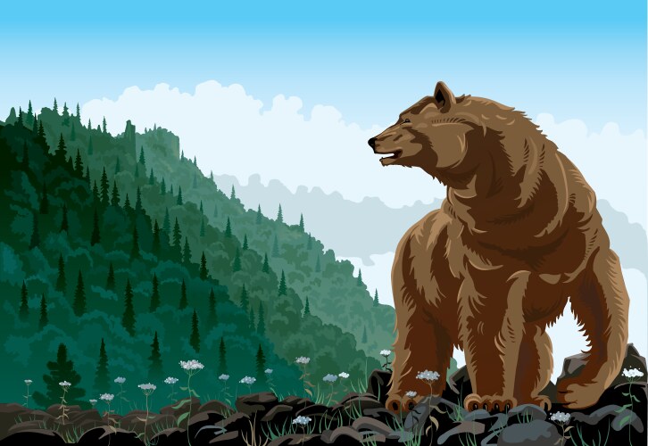 Bear Vector Images (over 220,000)