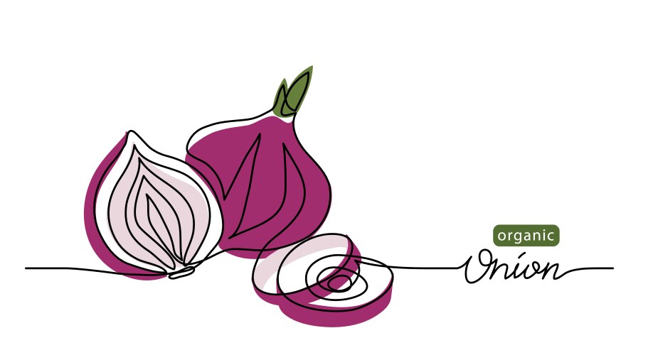 Red onion collection hand draw sketch Royalty Free Vector