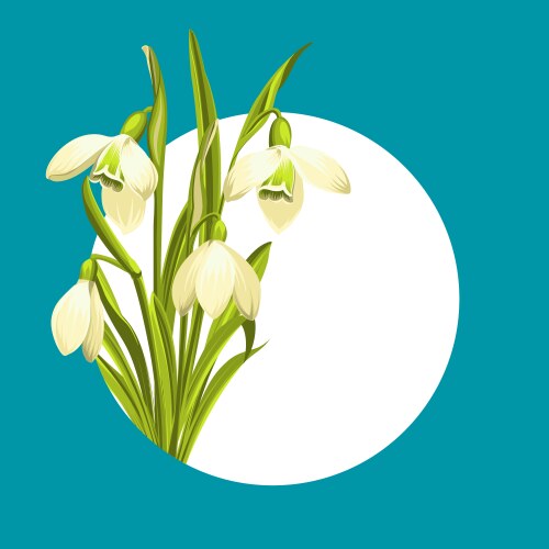 Snowdrop flowers Royalty Free Vector Image - VectorStock
