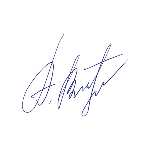 Autograph hand drawn handwritten signature Vector Image