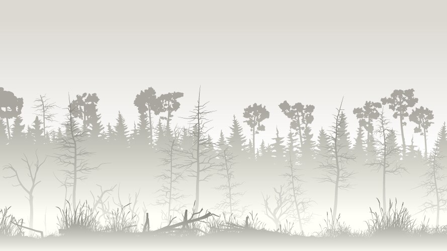 Forest Vector Images (over 730,000)