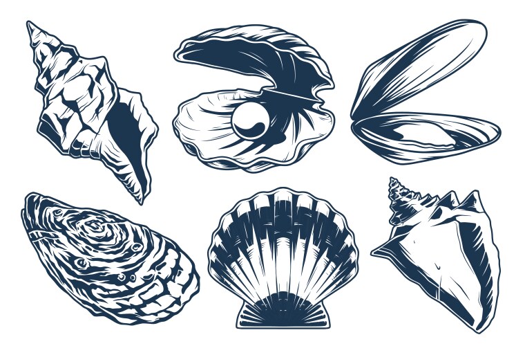 Sea shells seashell silhouettes set Royalty Free Vector