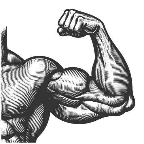 Strong Arm Vector Images (over 30,000)