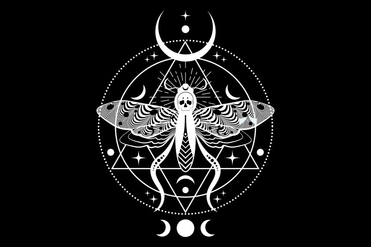 Death Moth Vector Images (over 550)
