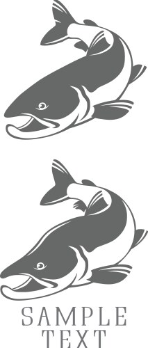 Salmon fish Royalty Free Vector Image - VectorStock