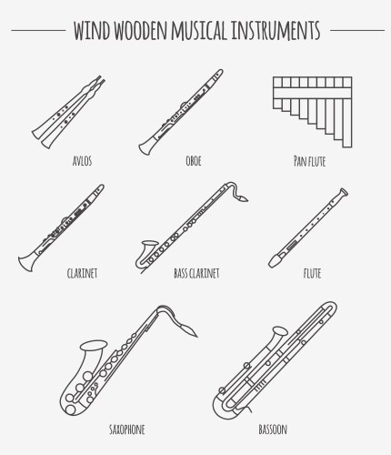 Wind instruments in sketch and cartoon style Vector Image