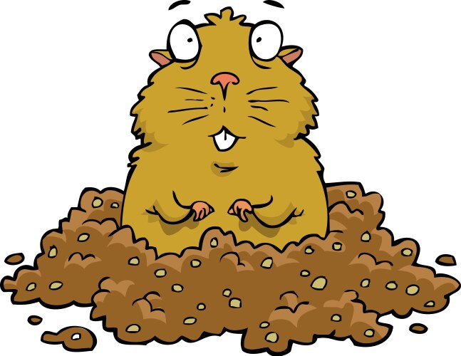 Cartoon gopher Royalty Free Vector Image - VectorStock