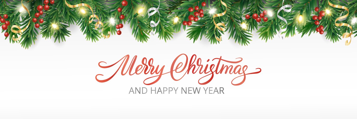 Seamless christmas border with winter plants Vector Image
