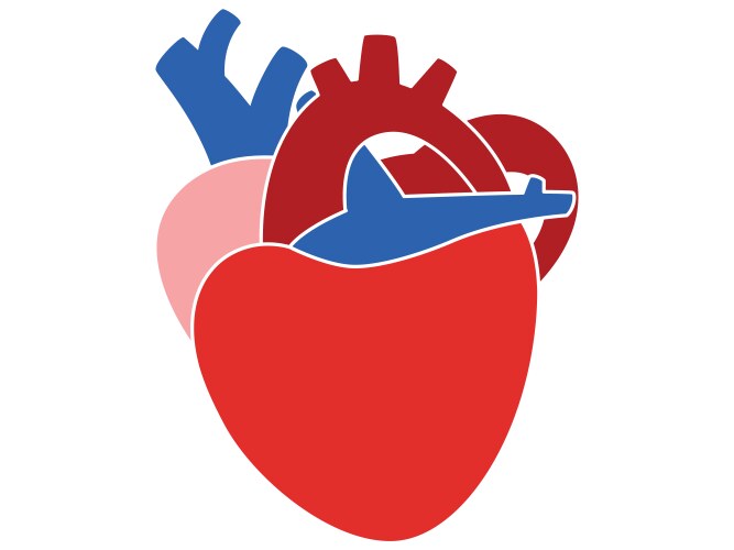 Cardiac Muscle Vector Images (over 2,000)