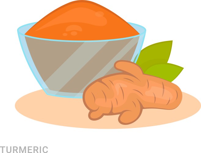 Turmeric Vector Images (over 3,100)