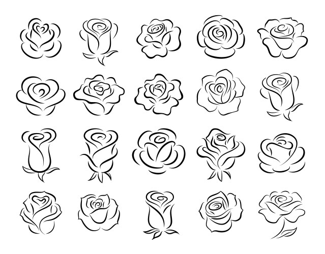 Roses design elements Royalty Free Vector Image