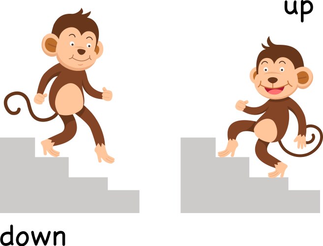 Opposite adjectives words with outside and inside Vector Image