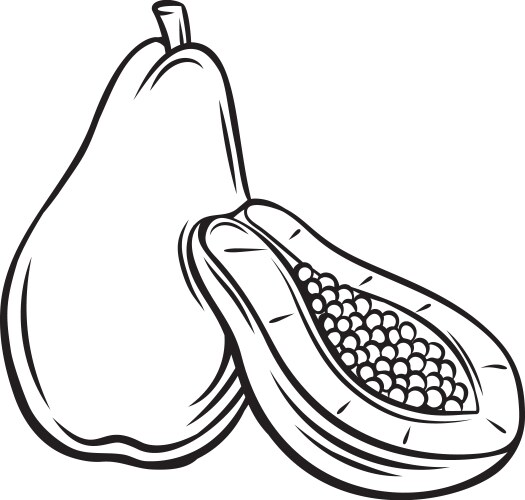 Papaya Outline Vector Images (over 1,100)
