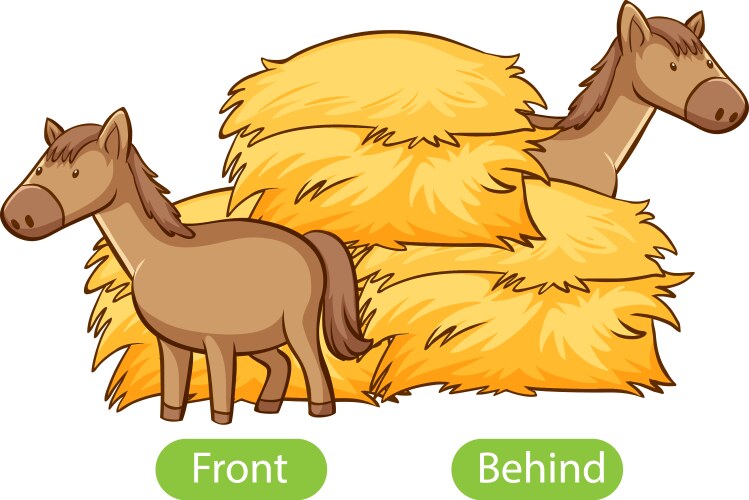 Opposite words with front and back Royalty Free Vector Image