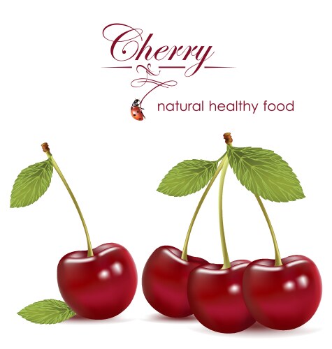 Cherry Vector Images (over 160,000)