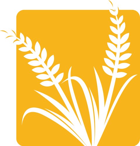Set wheat iconic logo designs template Royalty Free Vector