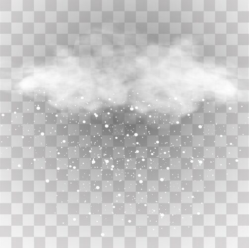 Snow and wind on a transparent background white Vector Image