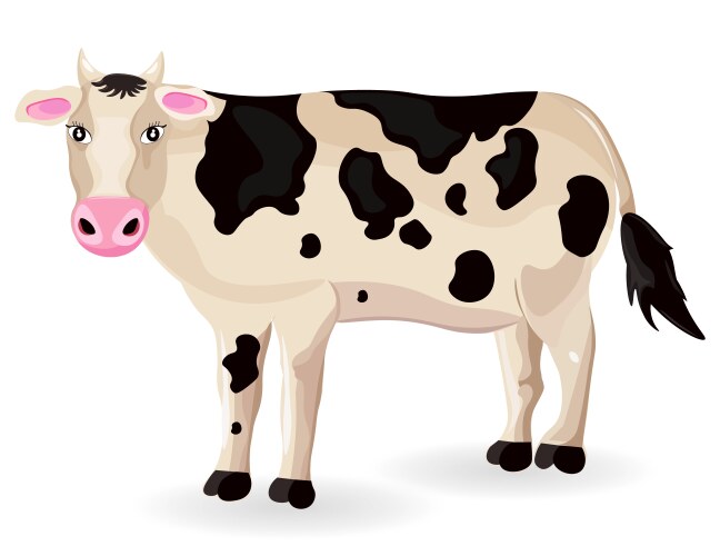 Cow Front View Vector Images (over 720)