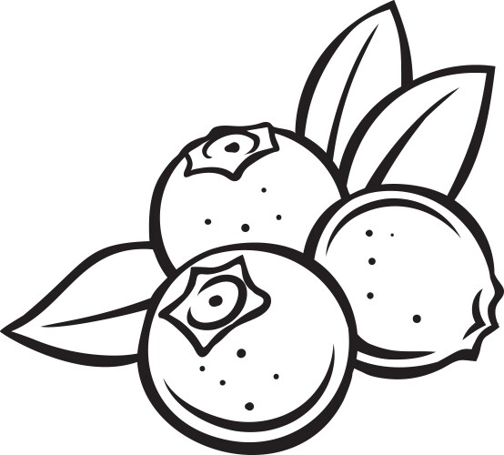 Blueberry Vector Images (over 28,000)