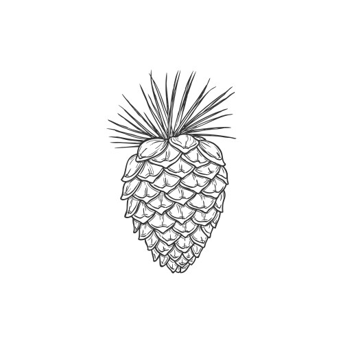 Needle Cartoon Vector Images (over 15,000)